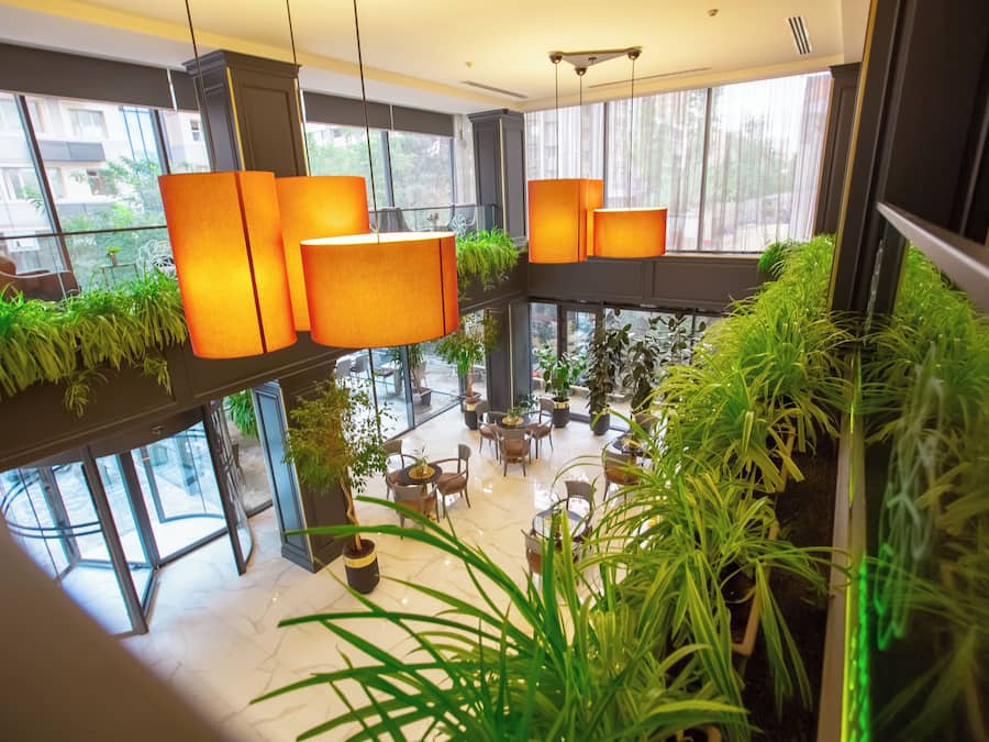 Terraço/pátio interior