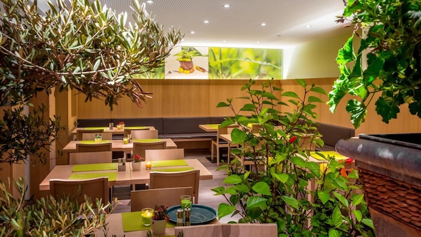 Um restaurante com mesas e cadeiras de madeira, jogos americanos verdes e plantas em vasos.