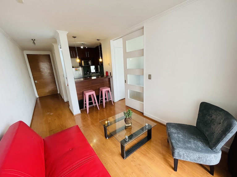 Exclusive Apartment In Providencia Steps From The Metro - チリ プロビデンシア