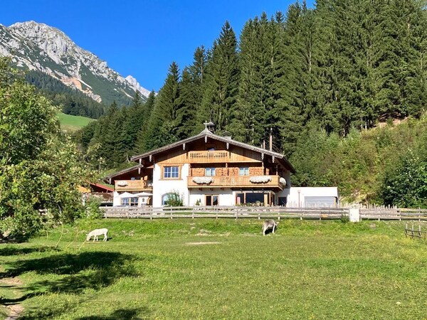 2 Room Apartment "Sternenglück" - Das Anja - Alt Filzmoos - 上特勞恩