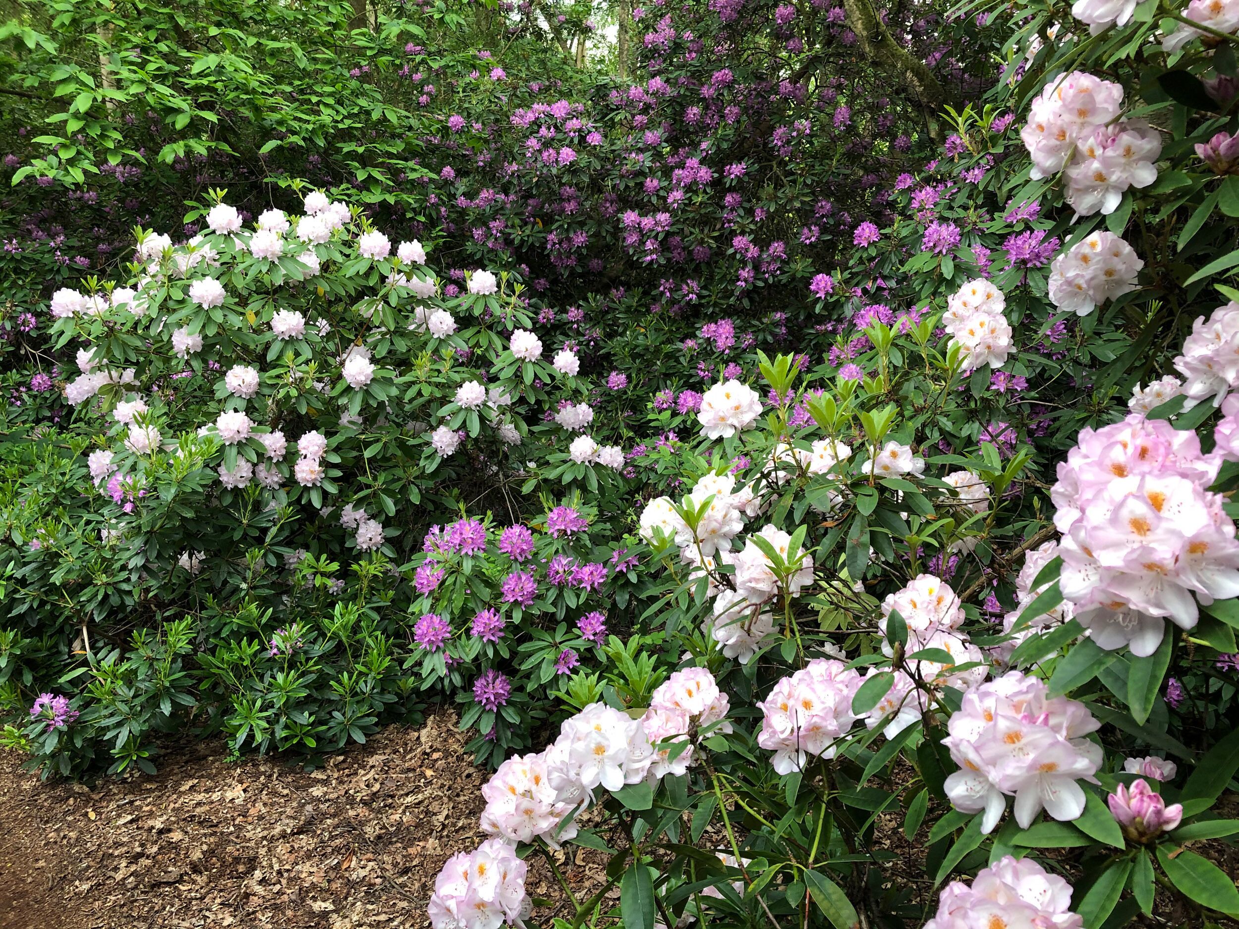 Casa de Campo | Interior