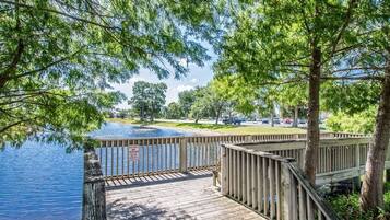 Terrenos do alojamento