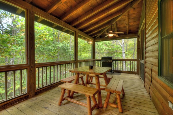 Game Room, Screened Porch, Hot Tub, Pet Friendly - Mineral Bluff, GA