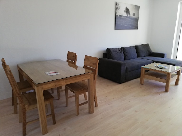 Modern Vacation Apartment (80sqm) For Up To 4 People - Wiener Neustadt