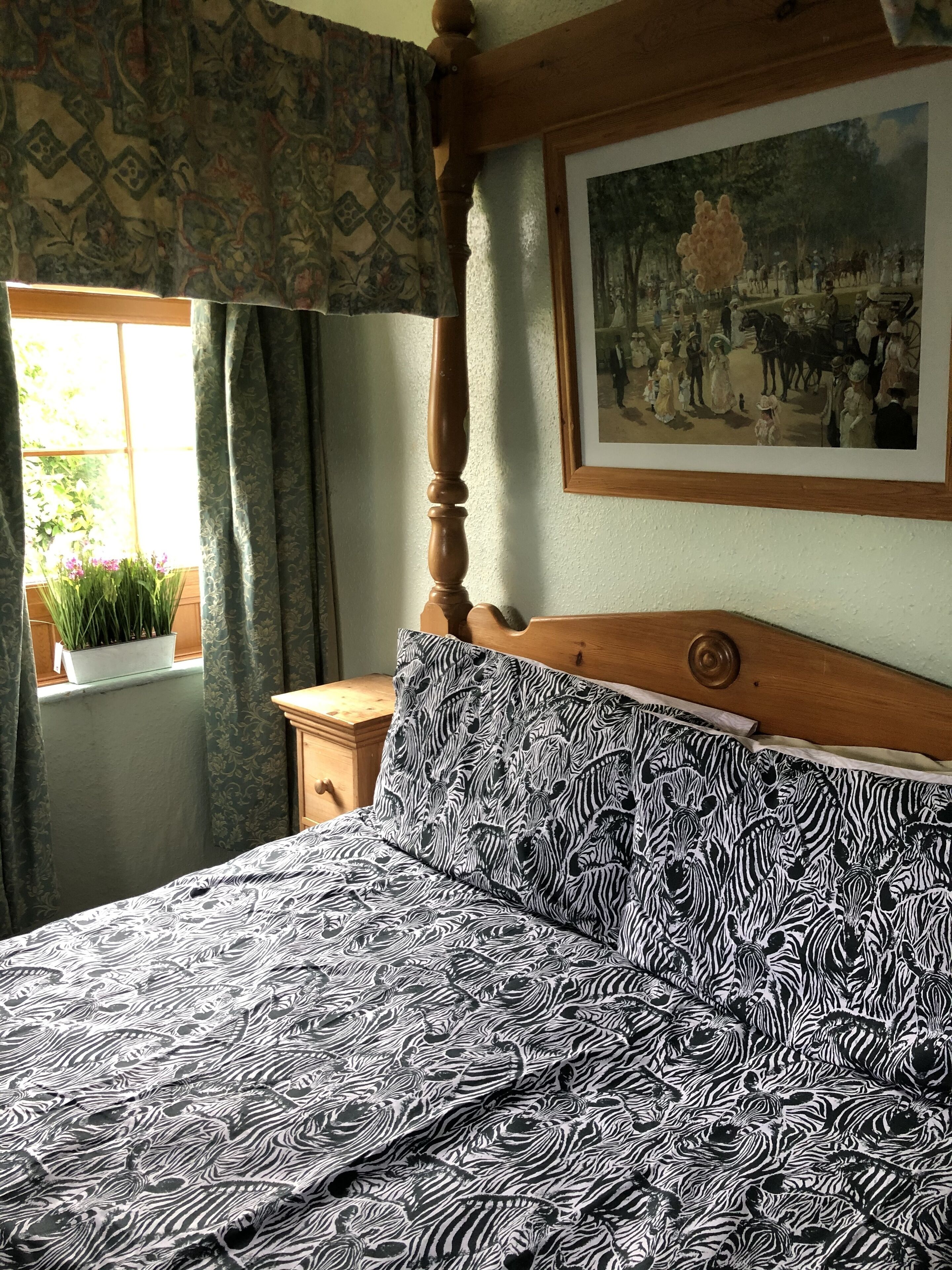 Rose Cottage, Dog Friendly, Appledore - Appledore