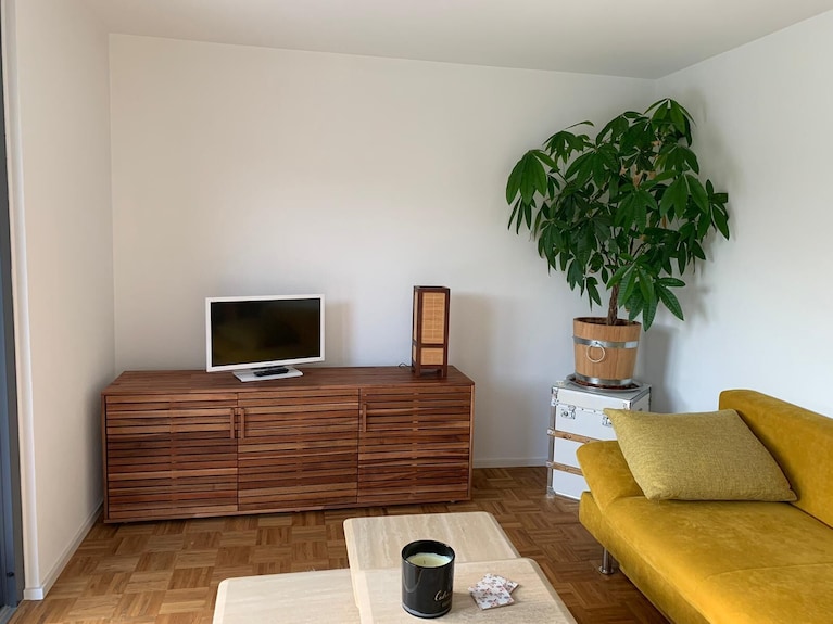 Vacation Apartment With Separate Entrance - Singen