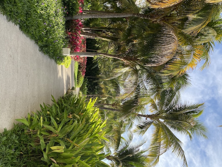 Vidanta Luxury Paradise By - Jalisco