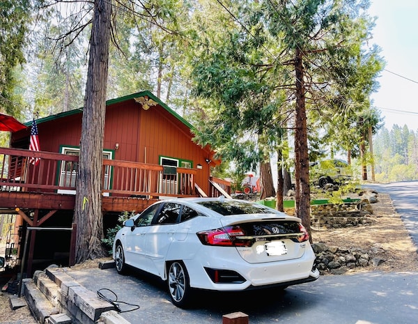 Cozy Cabin In Sherwood Forest - Twain Harte
