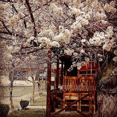 Northern Sapphire Hunza