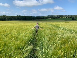 Casa de Campo, 1 cama queen-size | Terrenos do alojamento