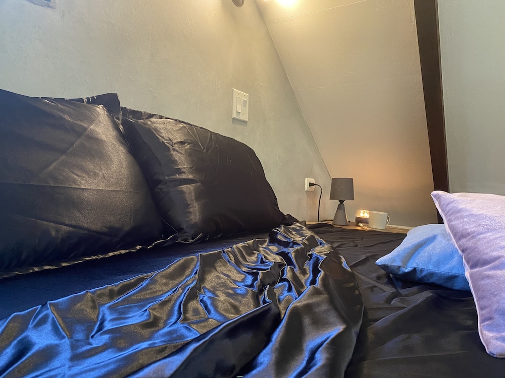 Octopus Studio - Panama