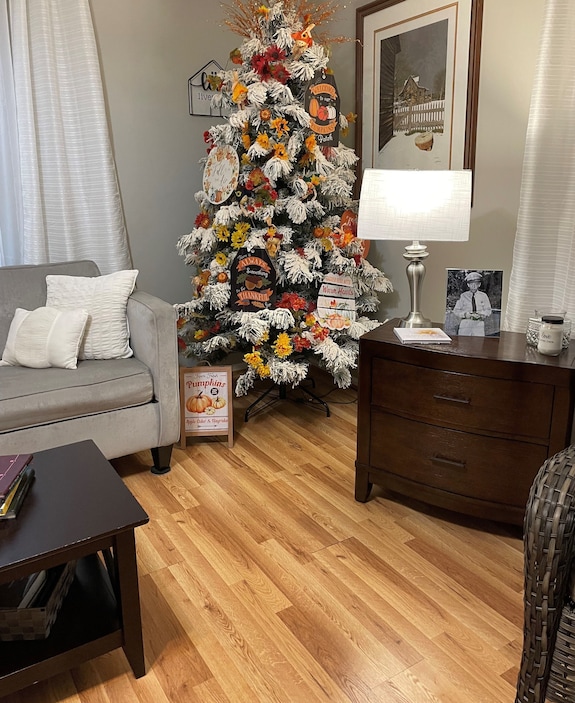 Mayberry Front Porch - 0.5 Miles To Downtown Mayberry - Mount Airy, NC