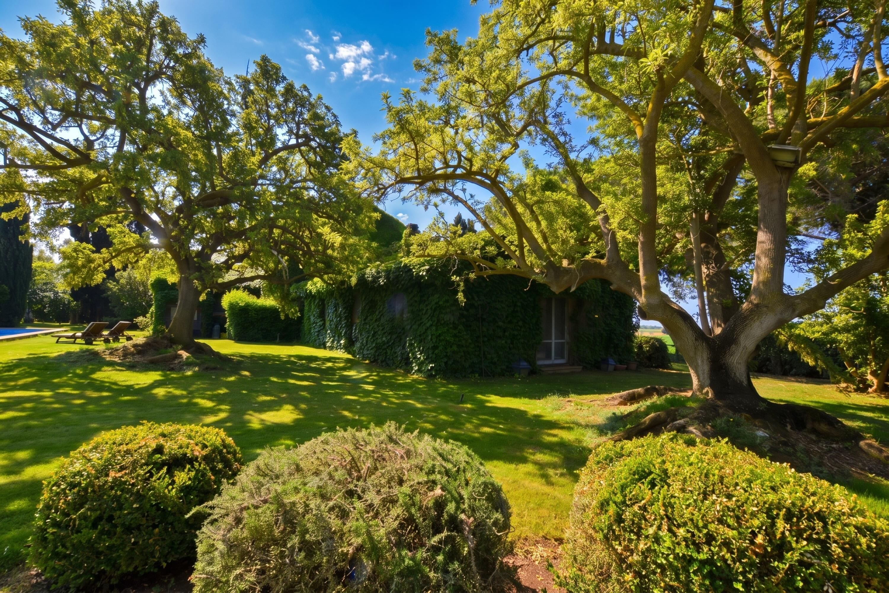 Villa Standard, 6 quartos, lareira (Casale Teresa) | Terrenos do alojamento