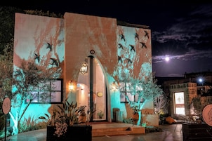 Um edifício com uma grande projeção de pássaros na fachada, uma entrada convidativa com degraus, e uma placa com a inscrição "SOFA".