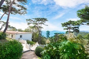 Terrenos do alojamento