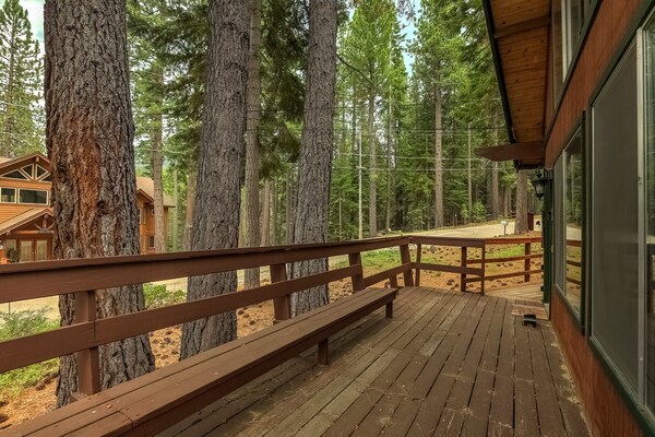 Woodland Escape - Cute Little Cabin In The Woods! - Hope Valley, CA