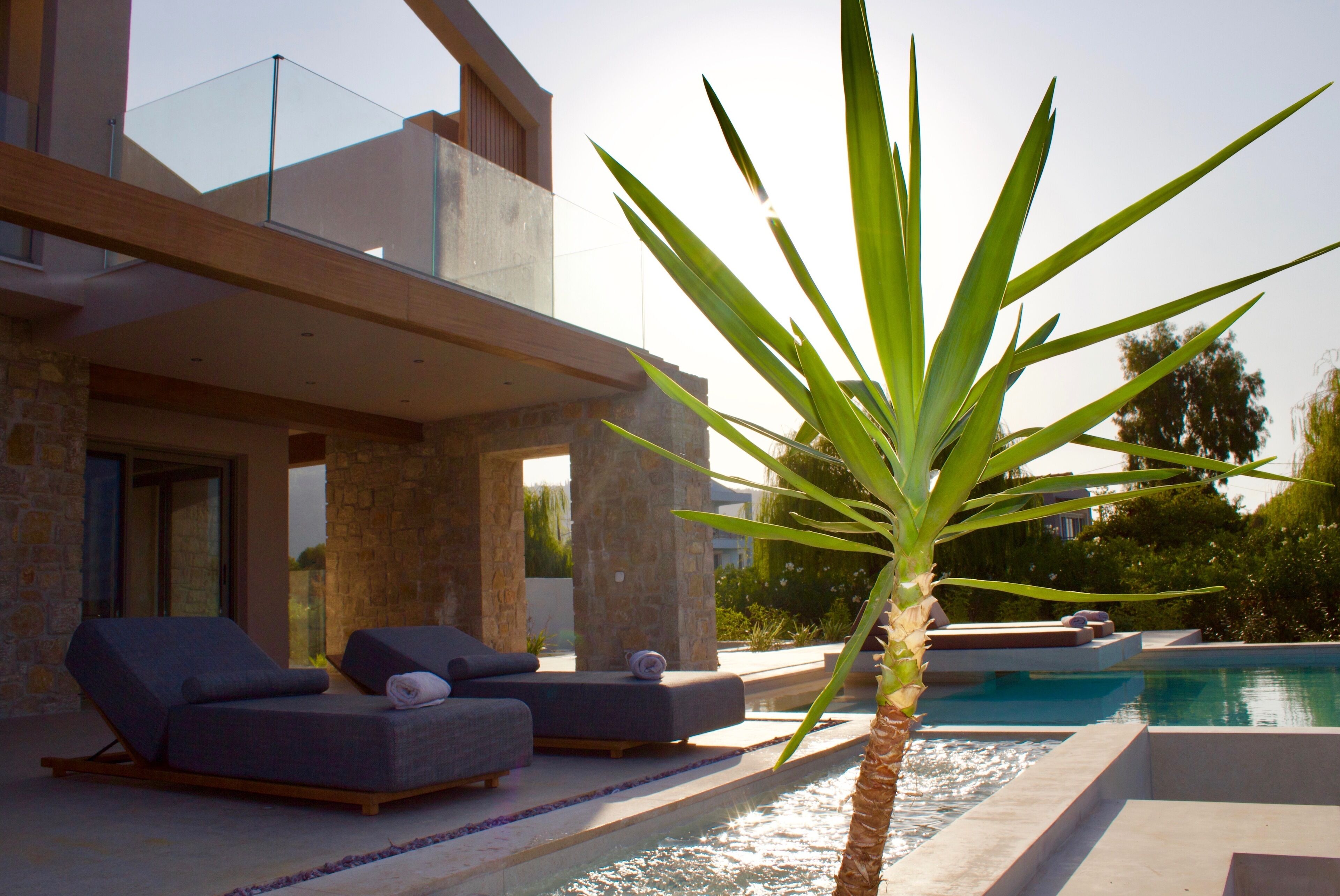 Uma área moderna junto à piscina, com duas espreguiçadeiras, uma palmeira e vista clara para a piscina.