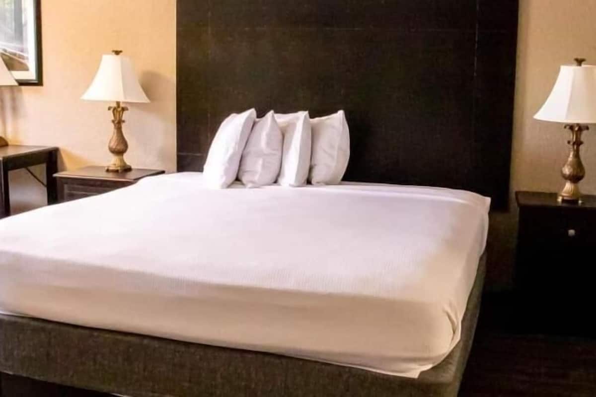 Quarto de hotel com uma cama grande, duas mesas de cabeceira com luminárias, uma cadeira e um quadro na parede.