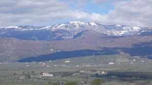 Your Refuge in Cilento Park: Among Nature, History, and Relaxation ...