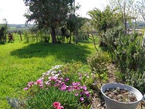 Your Refuge in Cilento Park: Among Nature, History, and Relaxation ...