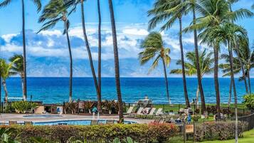 Apartamento em Condomínio Fechado, 1 quarto | Terrenos do alojamento