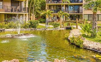 Apartamento em Condomínio Fechado, 1 quarto | Terrenos do alojamento