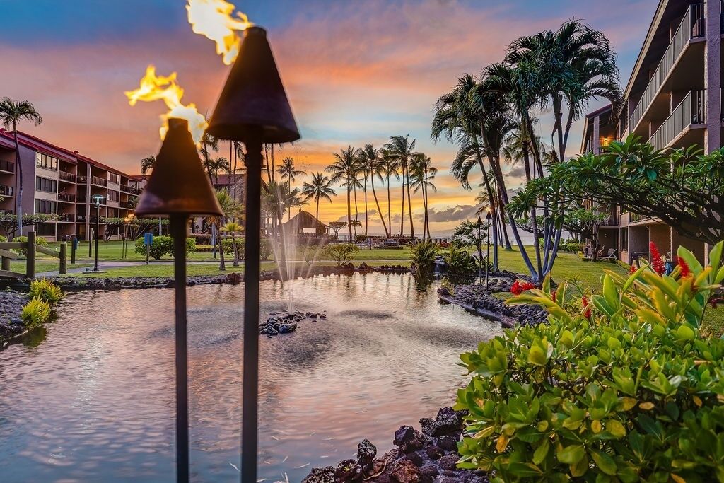 Apartamento em Condomínio Fechado, 1 quarto | Terrenos do alojamento