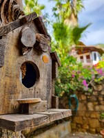 Pormenores do interior