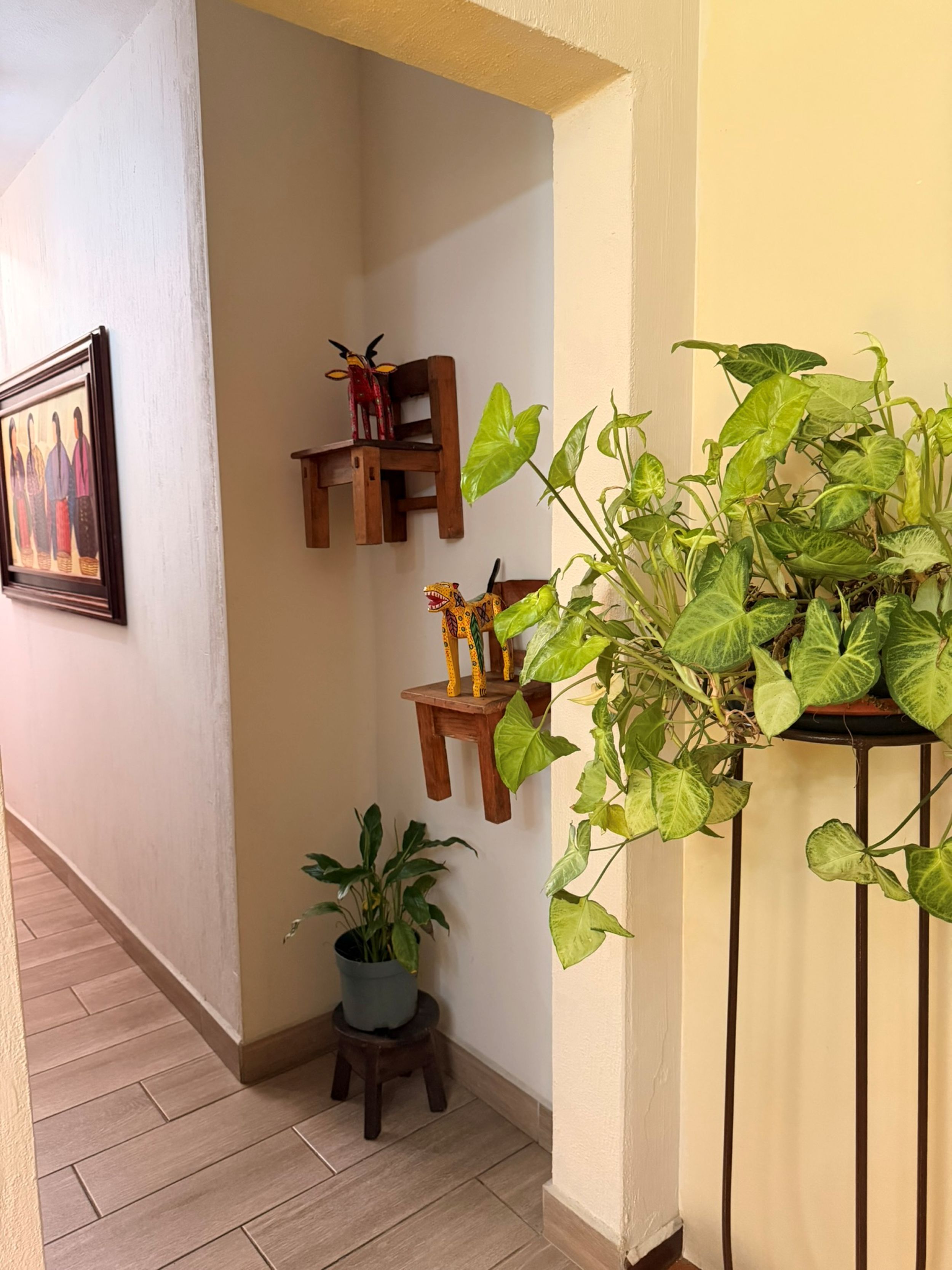 Um corredor com uma cadeira de madeira, uma mesinha e um vaso de planta.
