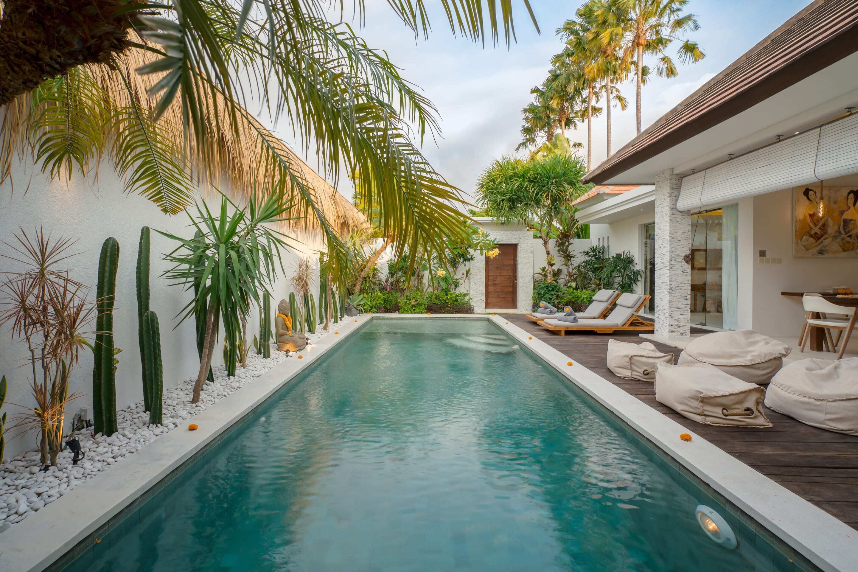 Piscina com borda branca, rodeada por plantas e cactos diversos. Há espreguiçadeiras e um deck de madeira.