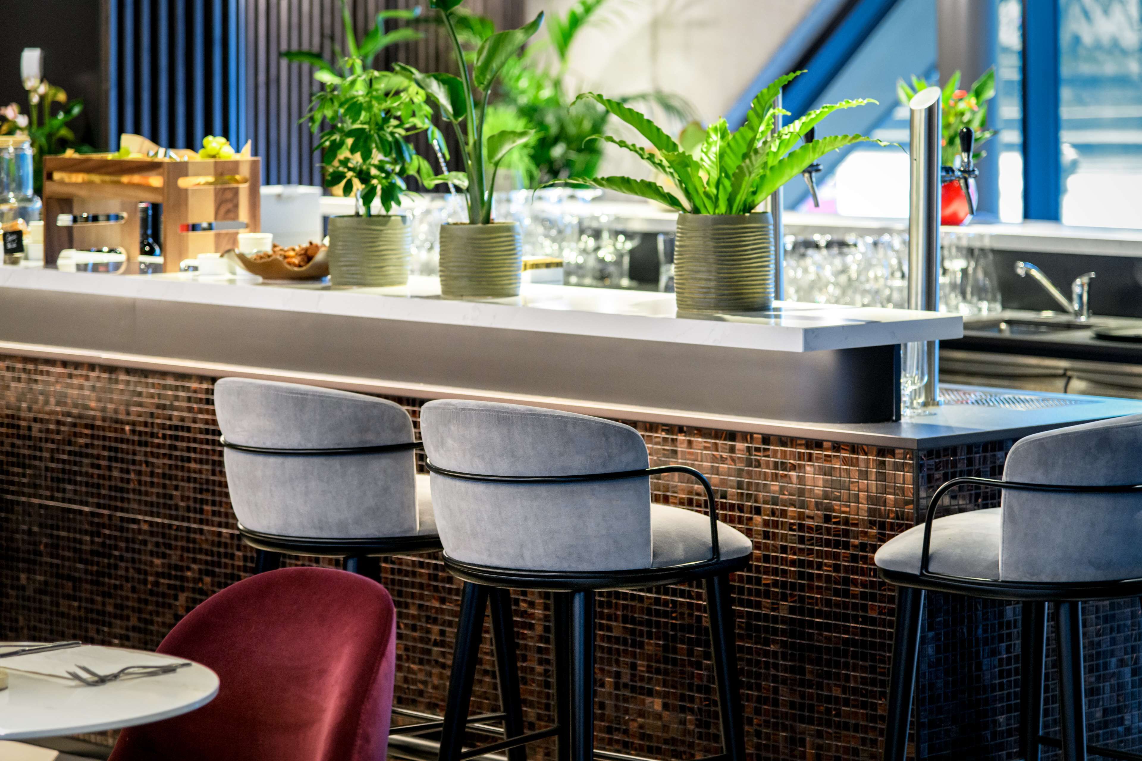 Área de bar com assentos, plantas em vasos e um balcão com diversos itens.