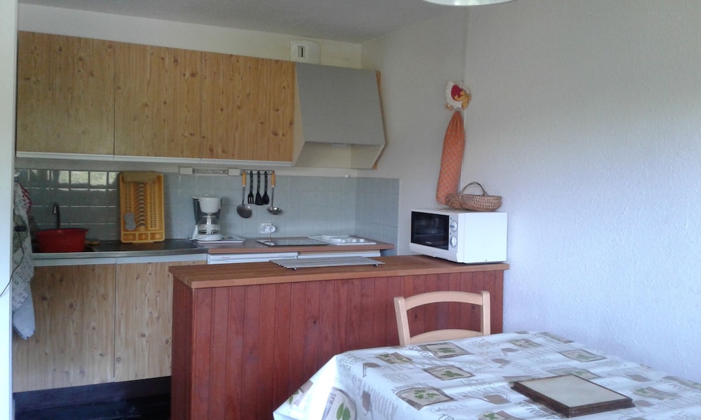 Appartement Au Pied Des Pistes - Puy-de-Dôme