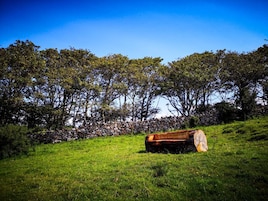 Um muro de pedra, um banco de madeira e um campo gramado com árvores ao fundo.