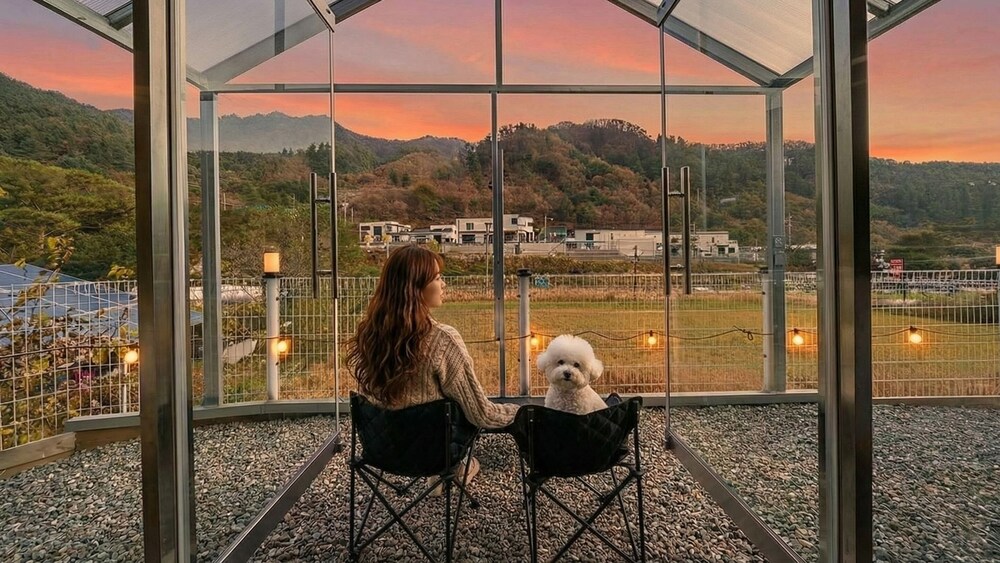 Gapyeong Ddobagi Pet & Spa Glamping - Chuncheon-si