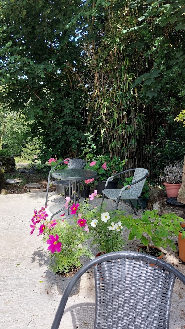 Wesley House Holidays - Quirky Too Cottage Set In 4 Acres Of Meadows - Redruth