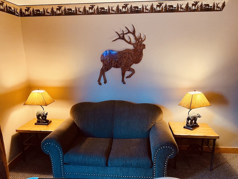 Entire Cozy Villa 2 Min Near Starved Rock! - Illinois