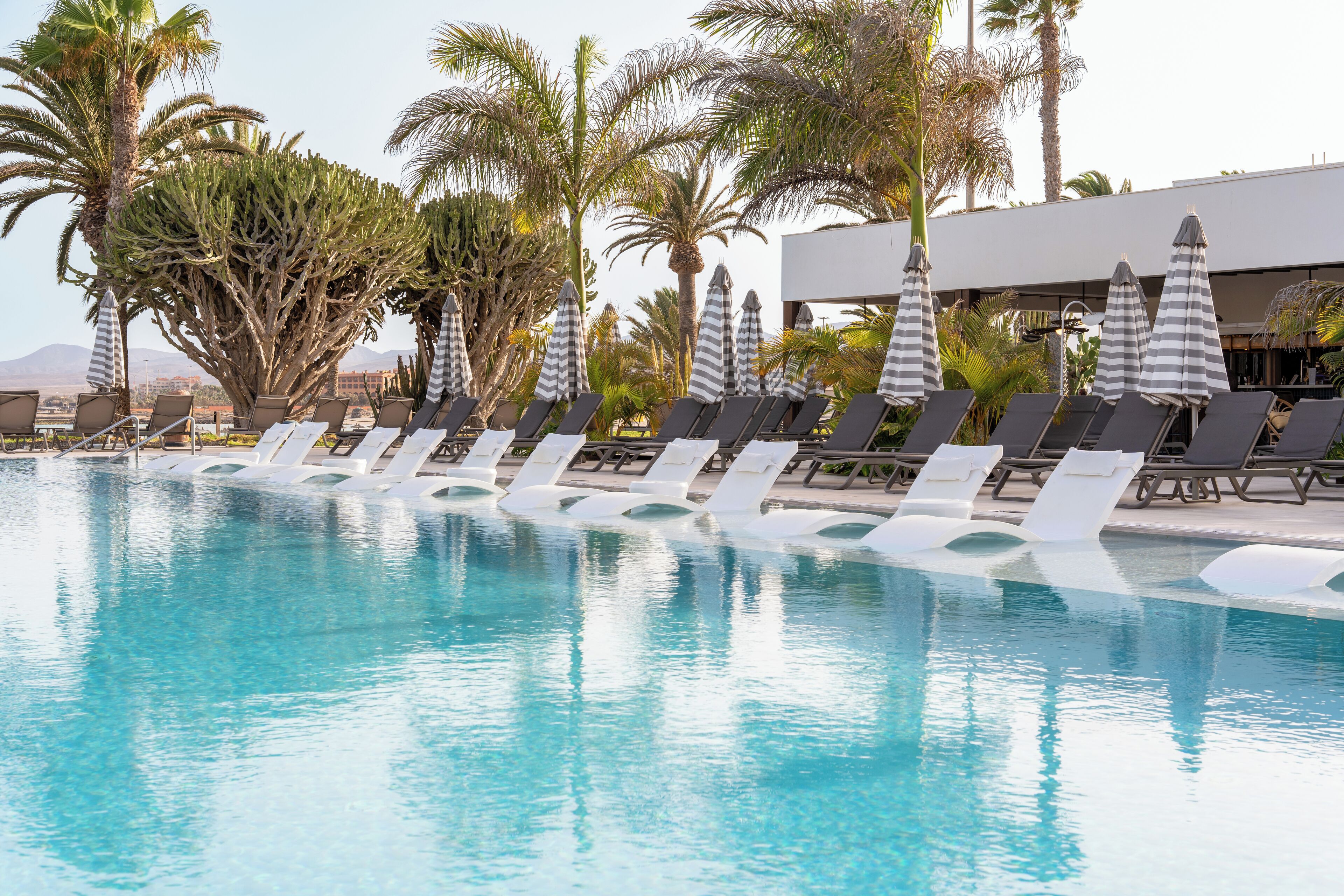 Área da piscina com espreguiçadeiras e guarda-sóis, cercada por palmeiras e um edifício ao fundo.