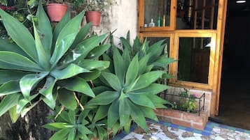 Terraço/påtio