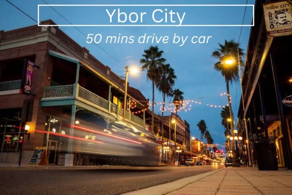 Mins To Beach\/modern\/walk To Dwtn\/free Parking - Tarpon Springs, FL