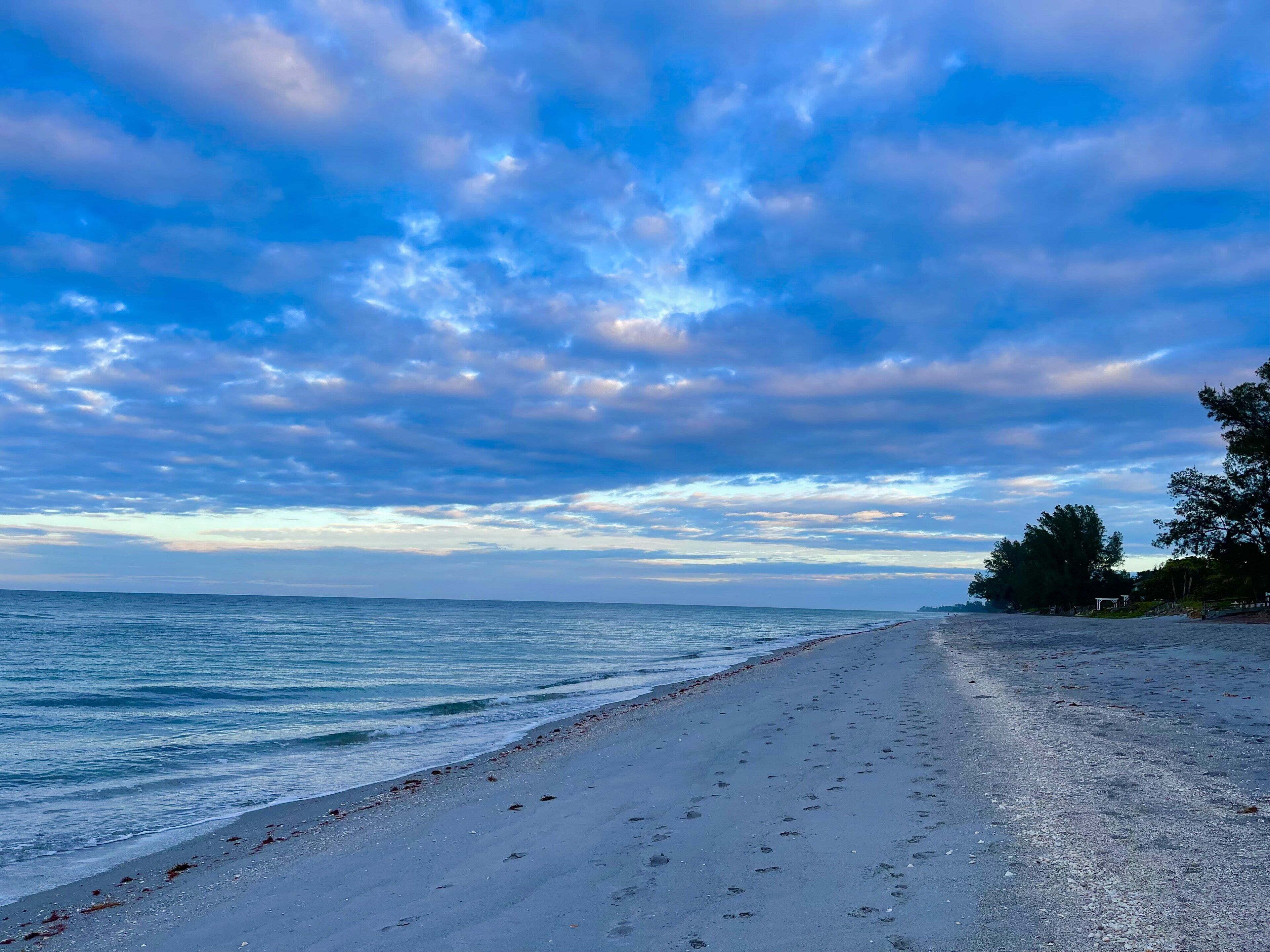 Exceptional Beach Front / Pool Condo Manasota Key - Englewood | Vrbo
