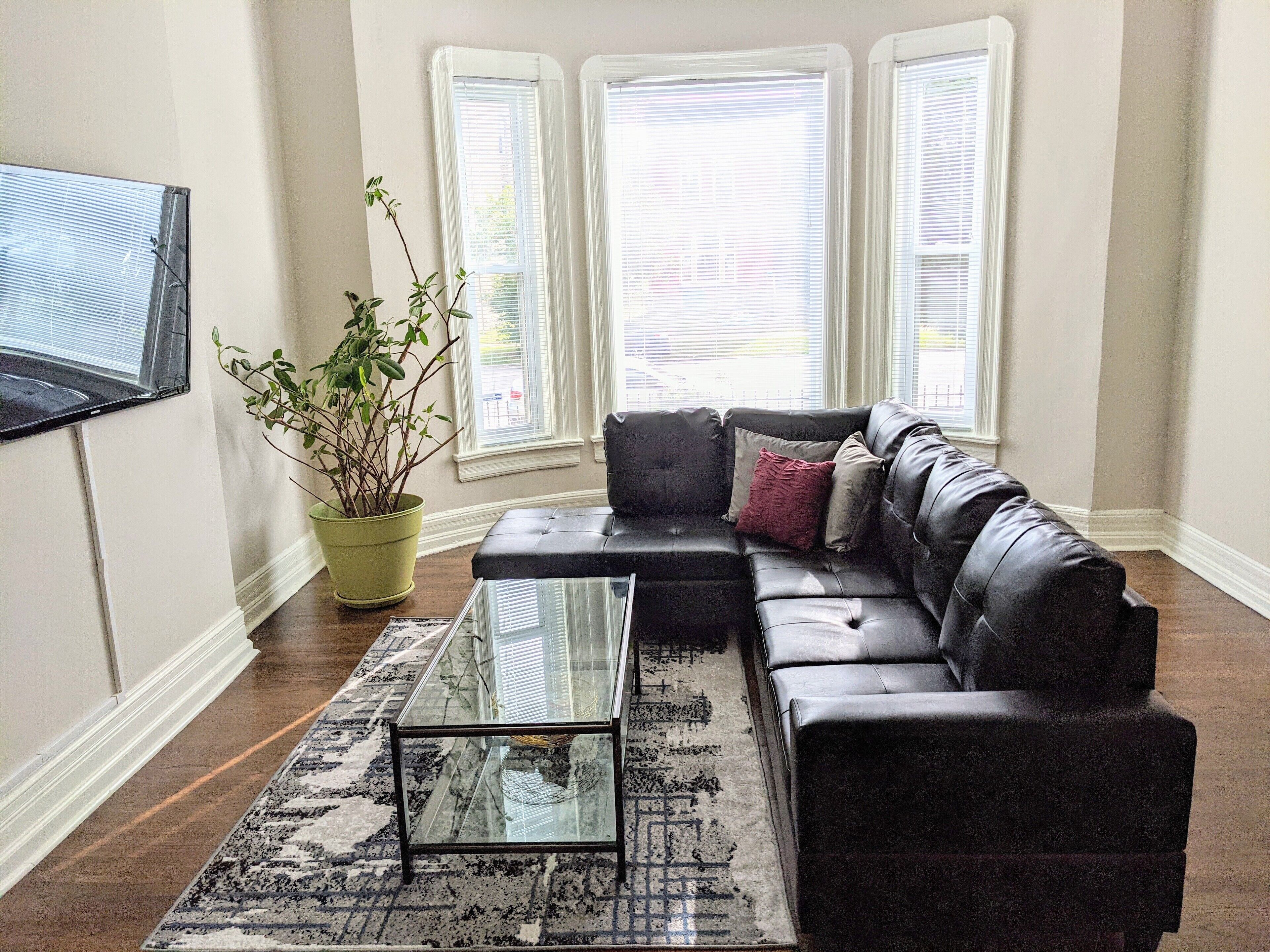 Spacious Bronzeville Apartment - McKinley Park - Chicago