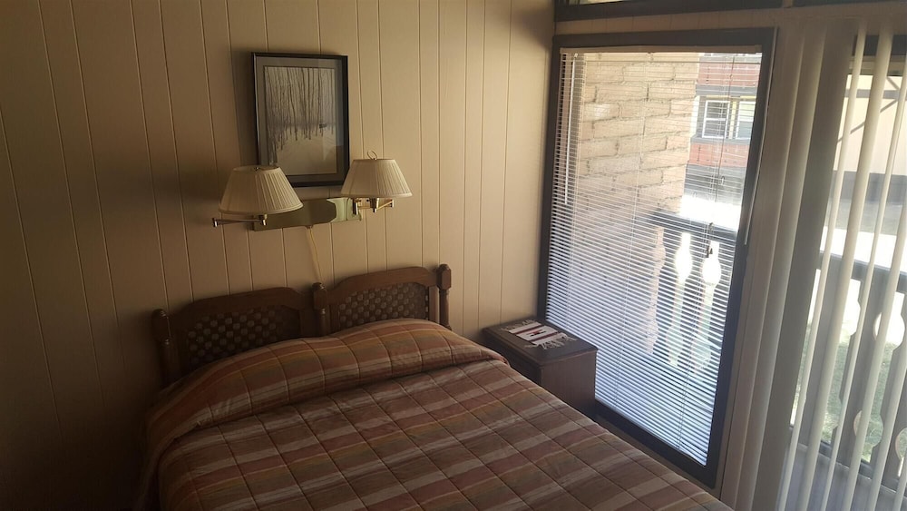 Condo In The Mountains! - Red River, NM