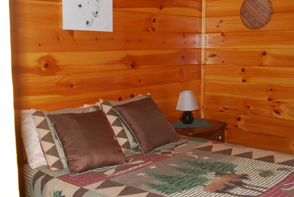 Fisherman's Dream Cabin 4 On The River!!!!! - Bryson City, NC