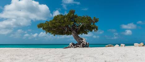Toalhas de praia