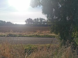 Paisagem rural com estrada, campos e árvores.