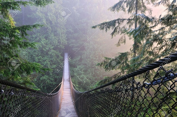 1200 Sqf Gorgeous 1 Bedroom, 2 Bathroom With Mountain Views - North Vancouver