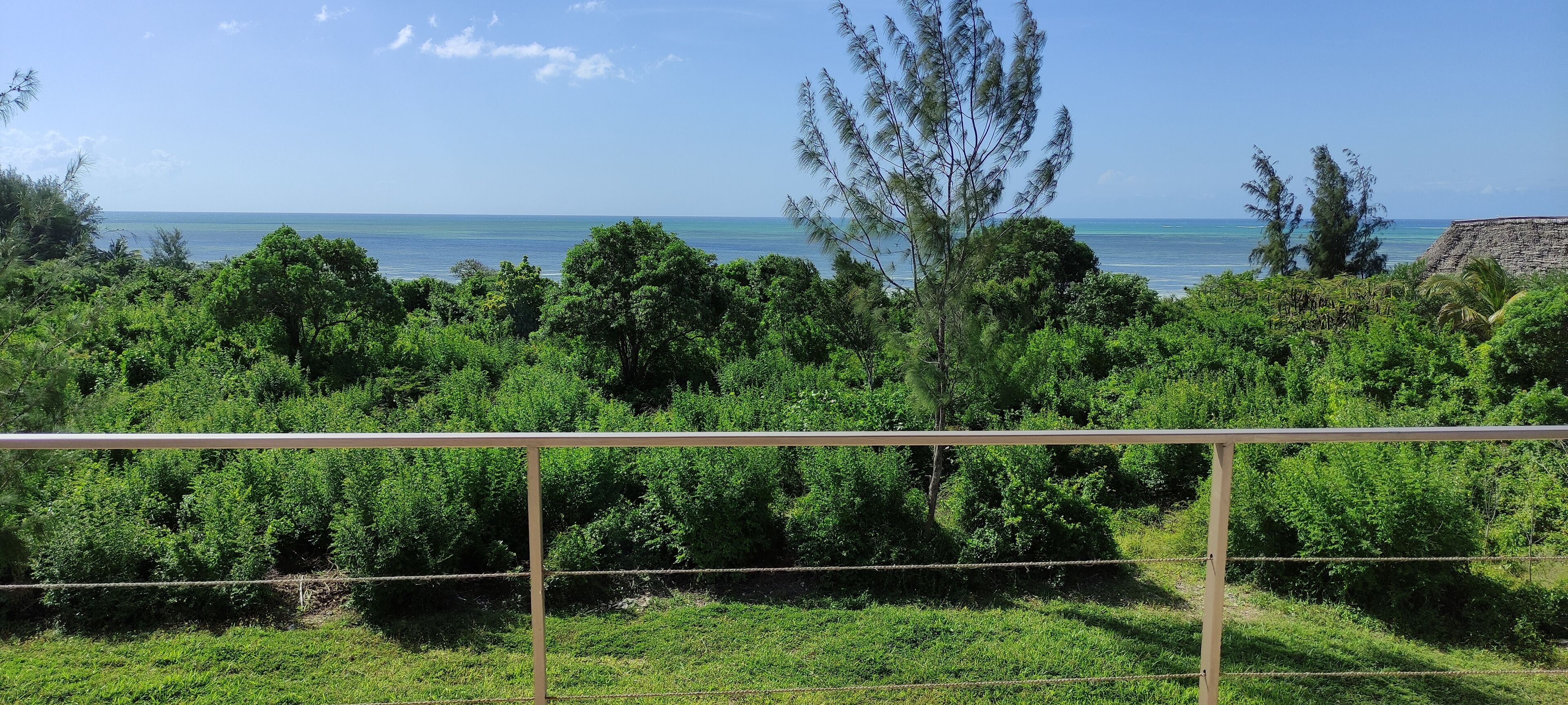 Paisagem verdejante e exuberante, com vista clara para o oceano.