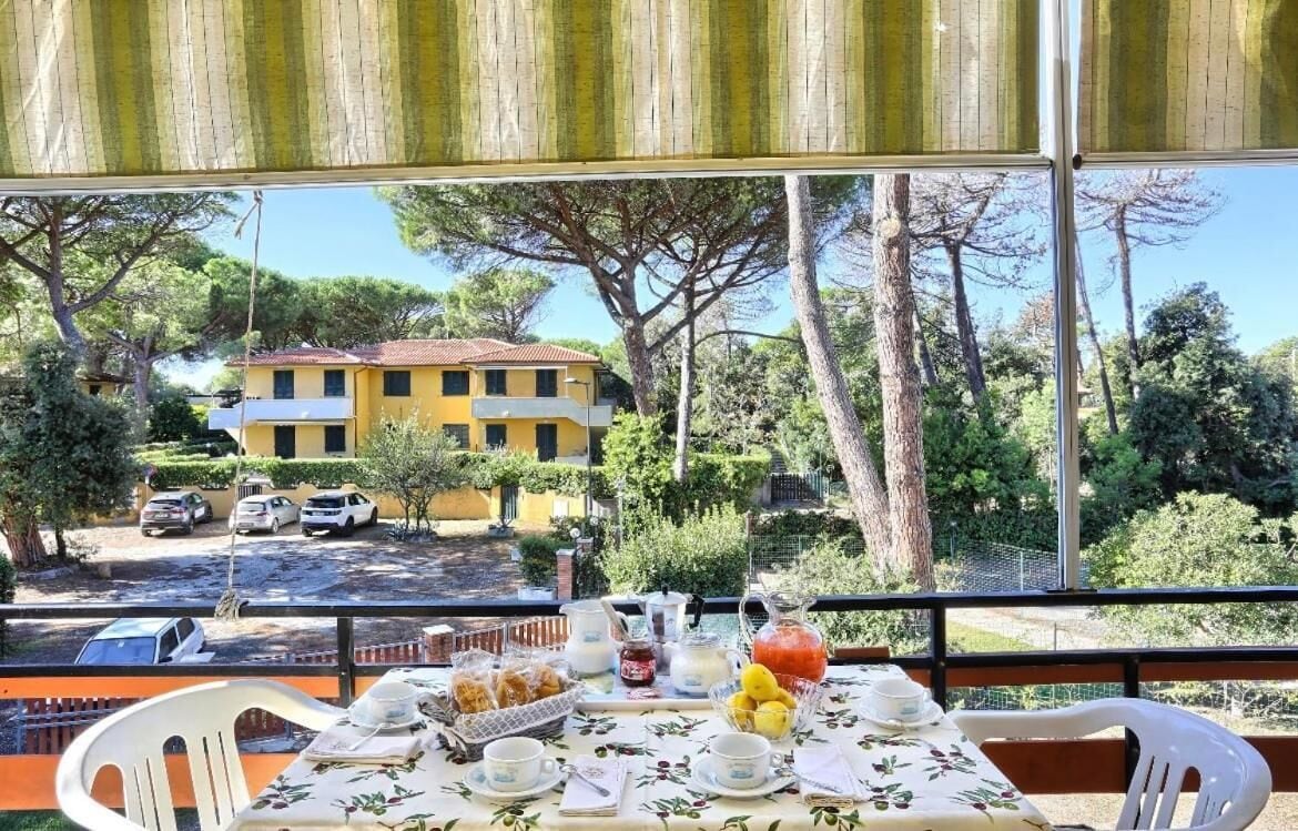 Apartamento, 2 quartos, varanda, vista para o jardim | Terraço/pátio interior