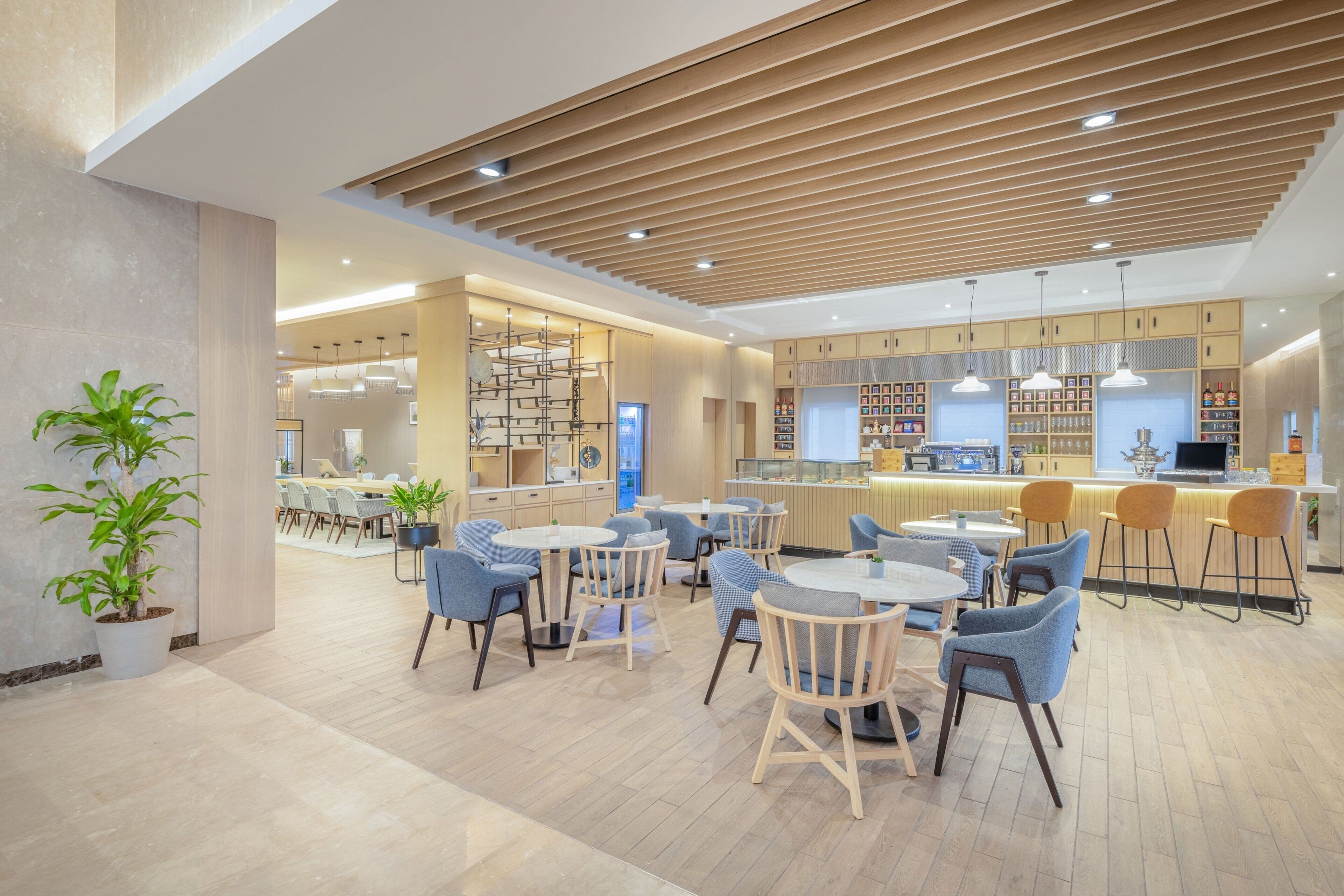 Um restaurante moderno com painéis de teto de madeira, mesas redondas e cadeiras azuis.