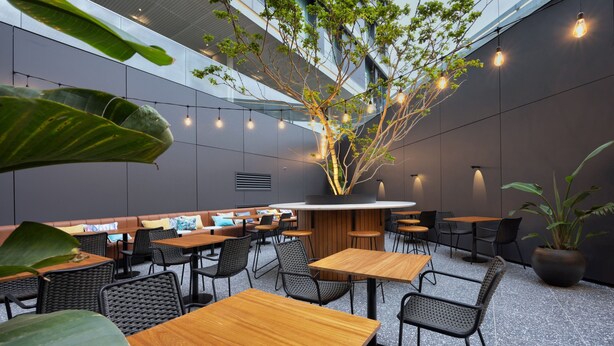 Um café moderno em ambiente interno, com mesas de madeira e cadeiras pretas, uma grande planta em vaso e luzes de Natal.